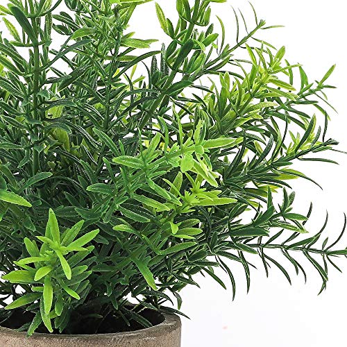 CEWOR 2 Pack Artificial Plants Mini Potted Plants Fake Bamboo Leaves Faux Rosemary Small House Plants for Home Office Desk Room Decor