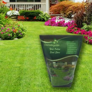 Outsidepride Full House Bermuda Grass Seed Blend of Monaco & Hollywood - 1 LB