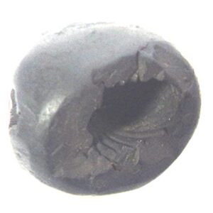 phoenix888 Kurma Laxmi Navnidhi Purnachakra Purnagarbha Shaligram