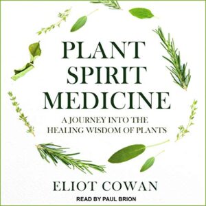 plant spirit medicine: a journey into the healing wisdom of plants