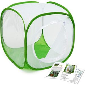 restcloud insect and butterfly habitat cage terrarium pop-up 12 x 12 x 12 inches, polyester bottom for easier clean