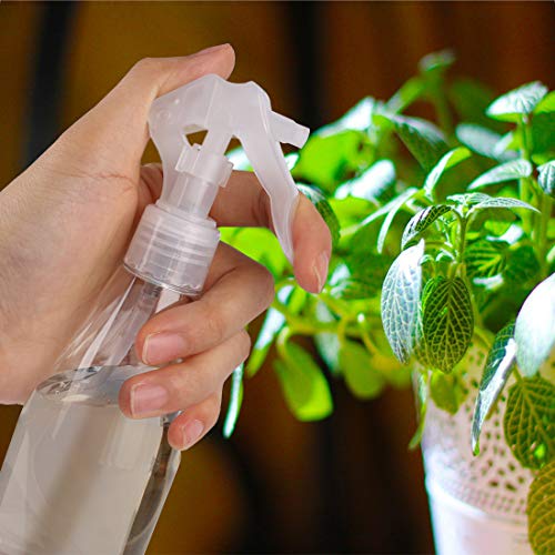 driew Plant Spray Bottle 2 Pack 200ml, Plant Mister Spray Bottle Squirt Bottle Plastic Spray Bottles for Outdoor Indoor House Garden Plants