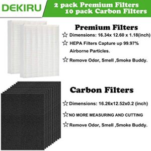 DEKIRU Compatible with Winix Air Purifier Filter 2 True HEPA Filters Plus 10 Carbon Filters Replacement A 115115 for Winix PlasmaWave Air Cleaner Purifier Filter 5300 5500 6300 5300-2 6300-2 P300 C535