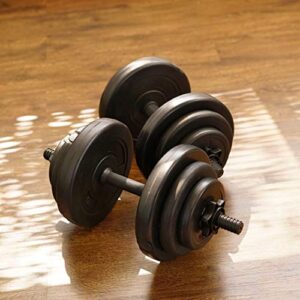 Sunny Health & Fitness Exercise Vinyl 40 Lb Dumbbell Set Hand Weights for Strength Training, Weight Loss, Workout Bench, Gym Equipment, and Home Workouts