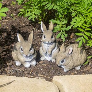 Besti Bunny Statue Yard Garden Decorations (3 Bunnies) | Cute Rabbits Look Great in Any Outdoor Living Space | Small Bunnies Can Also Be Used for Kitchen & Table Decor | 2-7/8 x 4 x 4-1/4 Inches