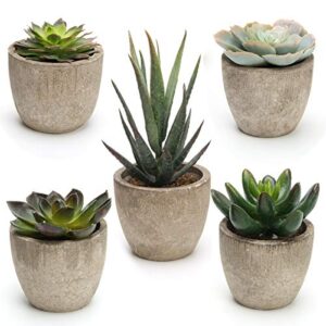 coitak artificial succulent plants potted, assorted decorative faux succulent potted fake cactus cacti plants with pots, set of 5