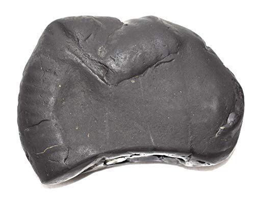 Rudrakshguru Krishna Shaligram/Madana Gopala Salagram - Gandaki River Nepal