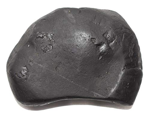 Rudrakshguru Krishna Shaligram/Madana Gopala Salagram - Gandaki River Nepal