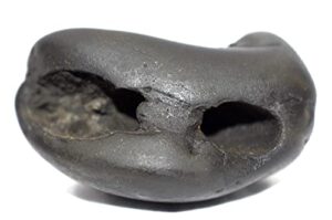 rudrakshguru trivikrama shaligram - gandaki river nepal