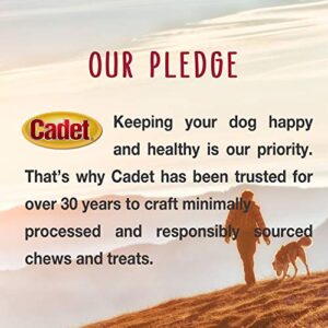 Cadet Bully Sticks for Dogs - All-Natural, Long-Lasting Grain-Free Dog Chews - Bully Sticks for Small, Medium, and Large Dogs - Dog Treats for Aggressive Chewers (12 oz.)