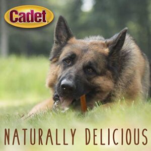 Cadet Bully Sticks for Dogs - All-Natural, Long-Lasting Grain-Free Dog Chews - Bully Sticks for Small, Medium, and Large Dogs - Dog Treats for Aggressive Chewers (12 oz.)