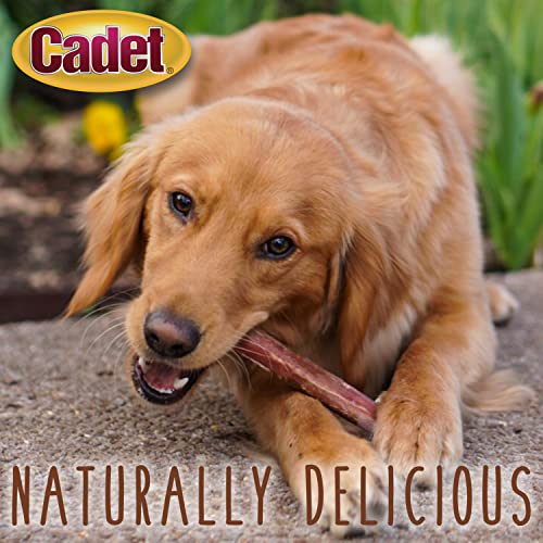 Cadet Bully Sticks for Dogs - All-Natural, Long-Lasting Grain-Free Dog Chews - Bully Sticks for Small, Medium, and Large Dogs - Dog Treats for Aggressive Chewers (12 oz.)