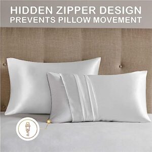 Hyde Lane 25 Momme 100% Pure Mulberry Silk Pillowcase for Hair and Skin with Hidden Zipper, Both Side Grade 6A Silk, Luxury Smooth and Soft,Real Silk Pillow Case, 1pc Standard 20''x26'',White