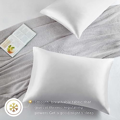 Hyde Lane 25 Momme 100% Pure Mulberry Silk Pillowcase for Hair and Skin with Hidden Zipper, Both Side Grade 6A Silk, Luxury Smooth and Soft,Real Silk Pillow Case, 1pc Standard 20''x26'',White