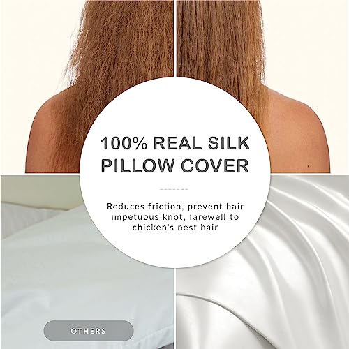 Hyde Lane 25 Momme 100% Pure Mulberry Silk Pillowcase for Hair and Skin with Hidden Zipper, Both Side Grade 6A Silk, Luxury Smooth and Soft,Real Silk Pillow Case, 1pc Standard 20''x26'',White