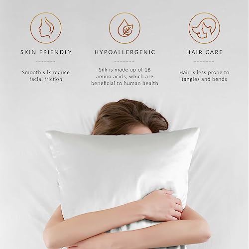 Hyde Lane 25 Momme 100% Pure Mulberry Silk Pillowcase for Hair and Skin with Hidden Zipper, Both Side Grade 6A Silk, Luxury Smooth and Soft,Real Silk Pillow Case, 1pc Standard 20''x26'',White