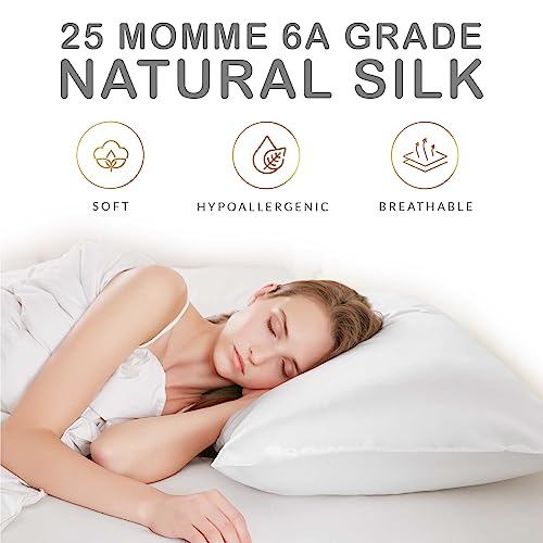 Hyde Lane 25 Momme 100% Pure Mulberry Silk Pillowcase for Hair and Skin with Hidden Zipper, Both Side Grade 6A Silk, Luxury Smooth and Soft,Real Silk Pillow Case, 1pc Standard 20''x26'',White