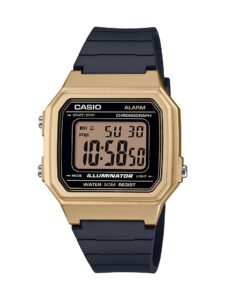 casio classic