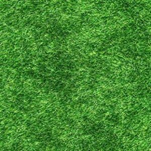 Hancock Seed Co. LaPrima Bermuda Grass Seeds 2 lbs.