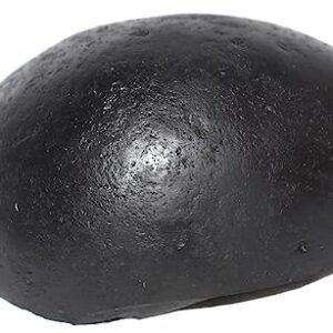 Matsya Shaligram - Gandaki River Nepal, Fossil, Fossil