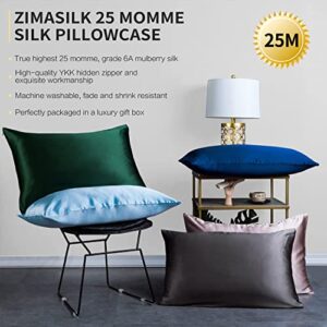 ZIMASILK 100% Luxurious 25 Momme Mulberry Silk Pillowcase for Hair and Skin Heath, Best Gift Choice, Highest Grade 6A Silk, 900 Thread Count, 1Pc (Standard 20''x26'', Iron Gray)