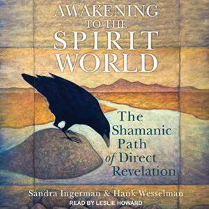 awakening to the spirit world: the shamanic path of direct revelation