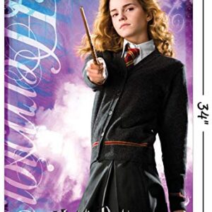 Trends International Harry Potter and the Half-Blood Prince - Hermione Wall Poster, 22.375" x 34", Premium Poster & Mount Bundle