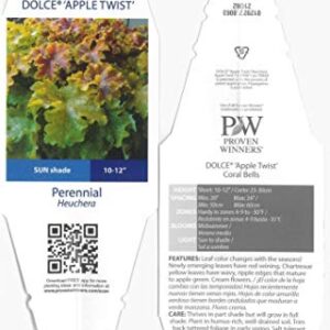 Proven Winners HEUPWP2127800 Dolce Apple Twist Coral Bells Live Plant, 4.5 in. Quart, Bright Green Foliage