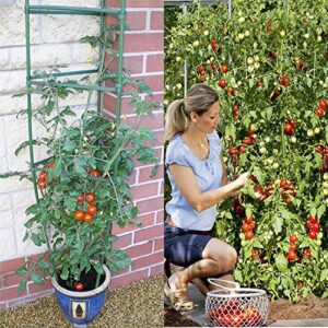 Derlights Tomato Cages Deformable Plant Supports, 3Pack Plant Cages Tomato Stakes Garden Cages, Multi-Functional Tomato Trellis for Climbing Vegetables with 9Pcs Clips