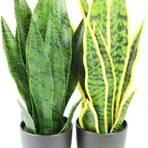 Bird Fiy Artificial Snake Plant Faux Agave Fake Sansevieria Artificial Potted Plants for Indoor and Outdoor Home Office Decor (Green, 16)