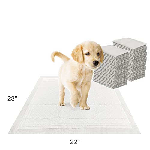 Four Paws Wee-Wee Super Absorbent Dog Pads with Insta-Rise Border - Dog & Puppy Pads for Potty Training - Dog Housebreaking & Puppy Supplies - 22" x 23" (50 Count),White