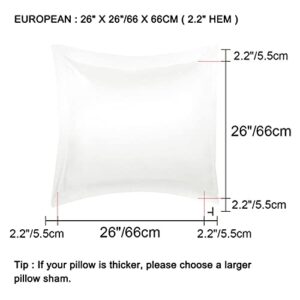 PiccoCasa 2 Pack Satin Pillowcase for Hair and Skin, Euro Sham Pillow Covers Soft Silky Oxford Pillow Cases with Envelope Closure European(26"x26") White