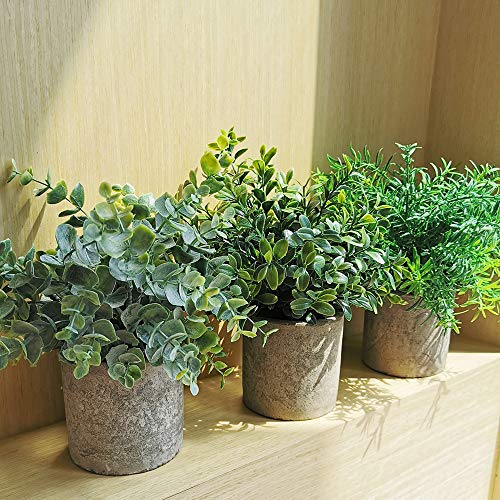 Winlyn Mini Potted Plants Artificial Eucalyptus Boxwood Rosemary Greenery in Pots Faux Potted Herbs Small Houseplants 8.3"-9" Tall for Indoor Greenery Tabletop Décor Centerpiece 3 Pack