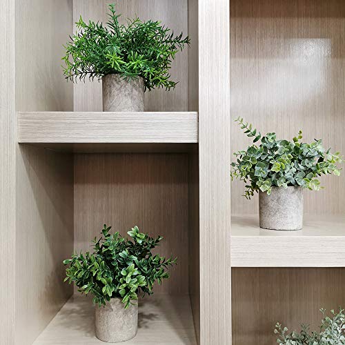 Winlyn Mini Potted Plants Artificial Eucalyptus Boxwood Rosemary Greenery in Pots Faux Potted Herbs Small Houseplants 8.3"-9" Tall for Indoor Greenery Tabletop Décor Centerpiece 3 Pack