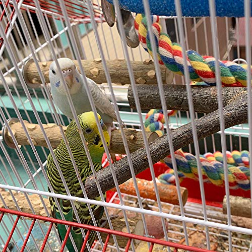 LIMIO Bird Perch 4 PCS Natural Wood Stand Parakeet Toys Bird Cage Accessories for Parrots Conure Supplies Budgie Platform