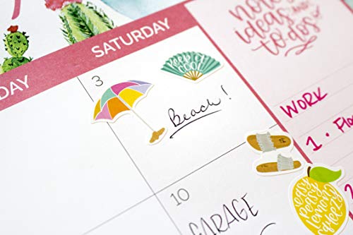 bloom daily planners Planner Sticker Value Pack (13 Unique Sheets / 1,000+ Aesthetic Stickers) - New Variety Assortment Bundle for Planning & Decorating