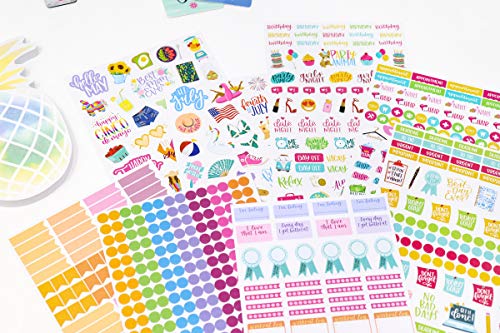 bloom daily planners Planner Sticker Value Pack (13 Unique Sheets / 1,000+ Aesthetic Stickers) - New Variety Assortment Bundle for Planning & Decorating