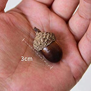 KISEER 100 Pcs Artificial Acorns Bulk Small Fake Lifelike Simulation Acorn with Natural Cap for Crafts, Wedding, Home Vase Filler Decor