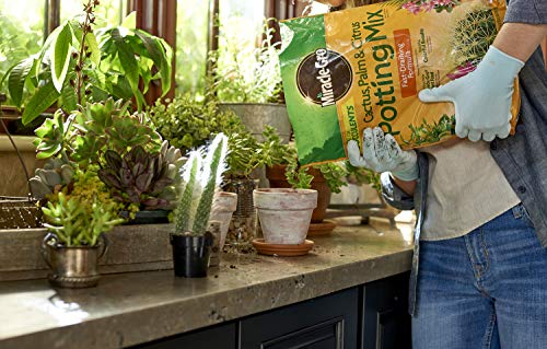 Miracle-Gro Cactus, Palm & Citrus Potting Mix, 8 qt.