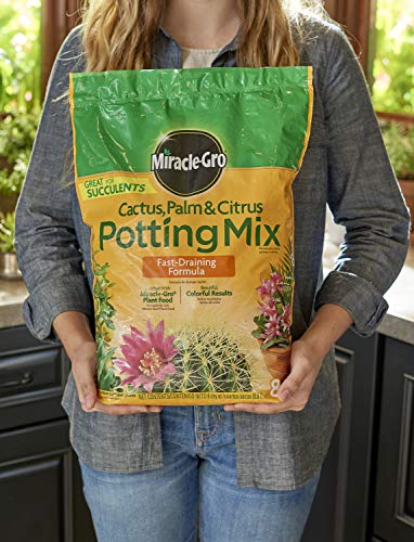 Miracle-Gro Cactus, Palm & Citrus Potting Mix, 8 qt.