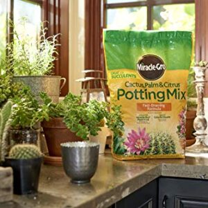 Miracle-Gro Cactus, Palm & Citrus Potting Mix, 8 qt.