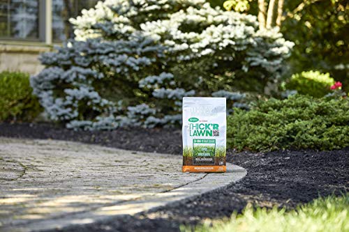 Scotts Turf Builder THICK'R LAWN Grass Seed, Fertilizer, and Soil Improver for Bermudagrass, 1,200 sq. ft., 12 lbs.