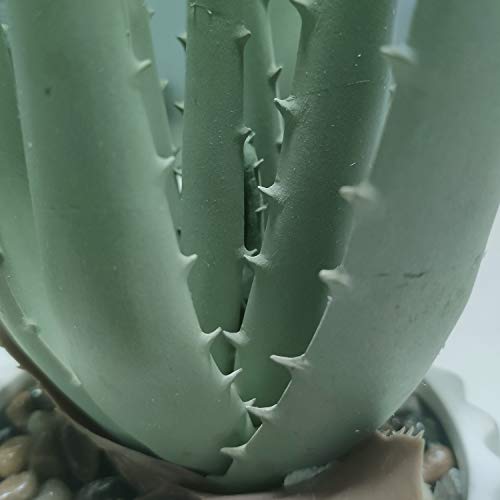 Suntimber Artificial Fake Plant Decor,Aloe Faux Plants in Elegant Ceramic Pot for Bathroom Shelf Decor, Desk Plant for Home & Office Decor - Artificial Fake Succulent Potted