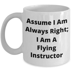 flying instructor mug | always right - funny pilot trainer novelty gift, teacher humor, coffee cup by vitazi kitchenware