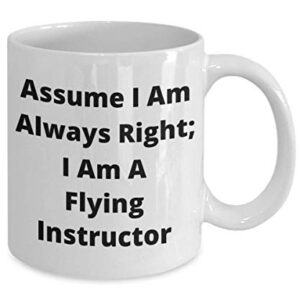 Flying Instructor Mug | Always Right - Funny Pilot Trainer Novelty Gift, Teacher Humor, Coffee Cup By Vitazi Kitchenware