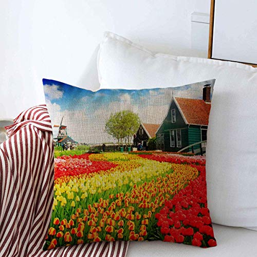 Pillow Case Blue Holland Rural Dutch Scenery Small Old Houses Parks Green Netherlands Village Amsterdam Mill Farmhouse Decorative Throw Pillowcase Cover 20"x20" Winter Decoration