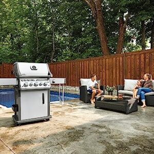 Napoleon Propane Gas Grill