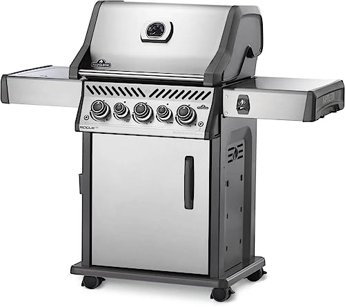 Napoleon Propane Gas Grill