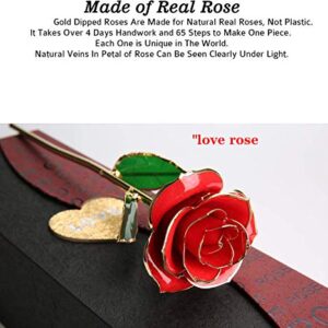 MNIEYU Gold Rose 24K Plated Gold Dipped Rose, Forever Preserved Red Rose Flowers with Stand,Romantic Gift for Valentine's Day and Anniversary, Best Gifts for Her, Wife,Girlfriend, Mothers Day,Birthday