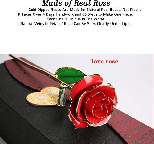 MNIEYU Gold Rose 24K Plated Gold Dipped Rose, Forever Preserved Red Rose Flowers with Stand,Romantic Gift for Valentine's Day and Anniversary, Best Gifts for Her, Wife,Girlfriend, Mothers Day,Birthday